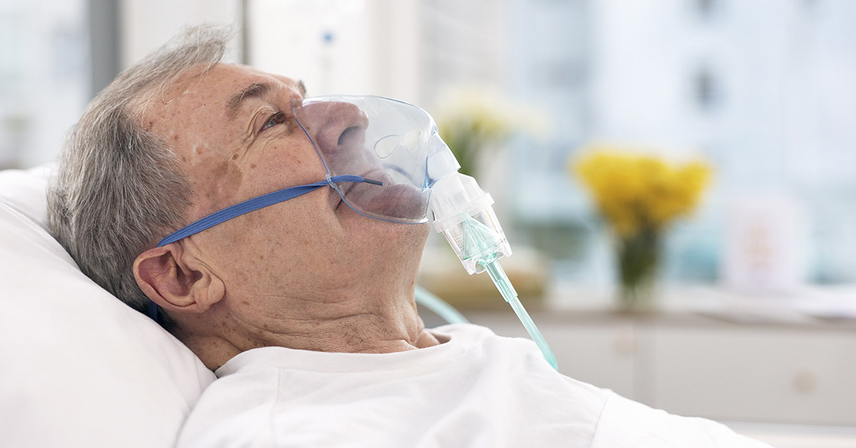 What Happens to the Body Just Before Death—It Starts with the Nose | News22